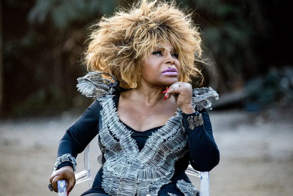 Elza, a grande aventura do corpo no mundo - Revista O Grito ...